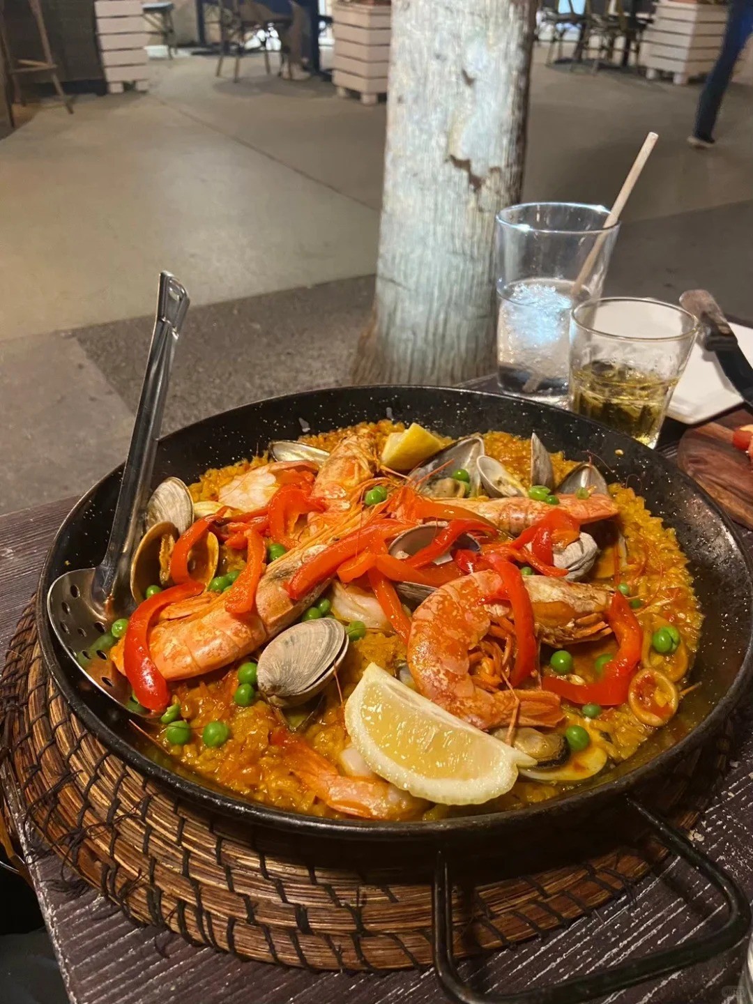🇺🇸Qt Miami｜Tapelia Spanish Restaurant 🌟🍴 by MIA Bites & Fun ...